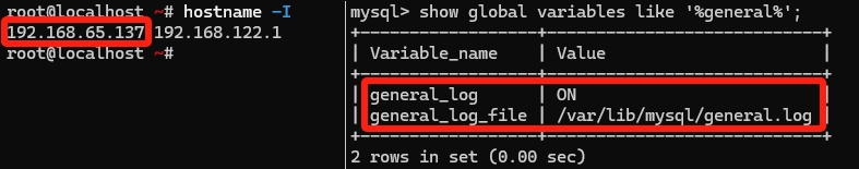 MySQL—整改 – Zephyr's Repository